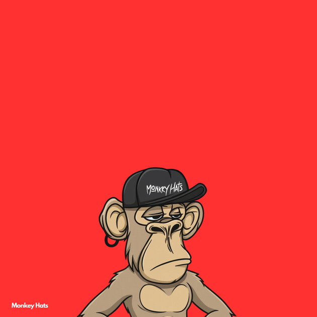 MORE THAN CAPS – MONKEY HATS