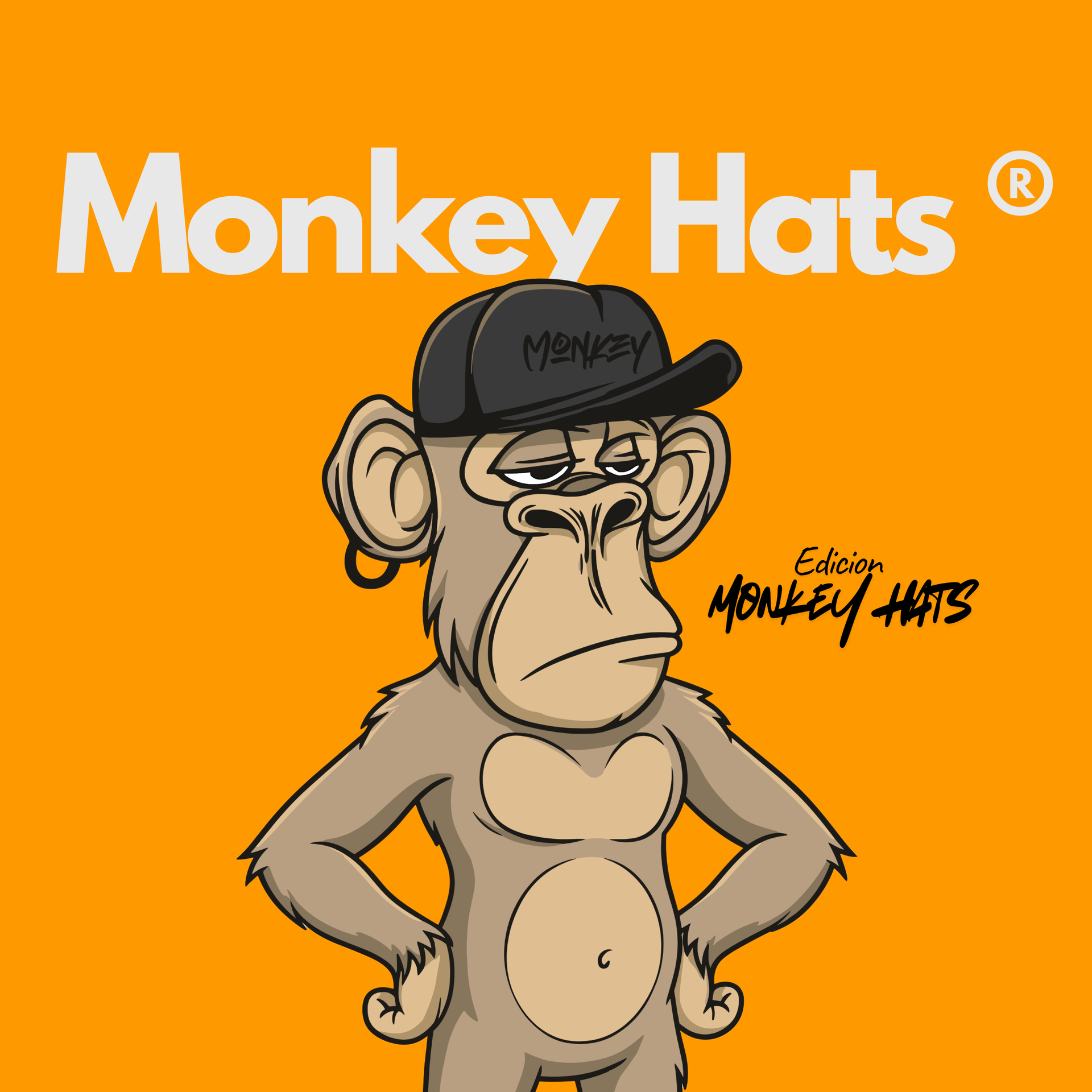 Monkey Hats: Gorras de Marcas top de Mexico y EE. UU. | Envío Gratis ...